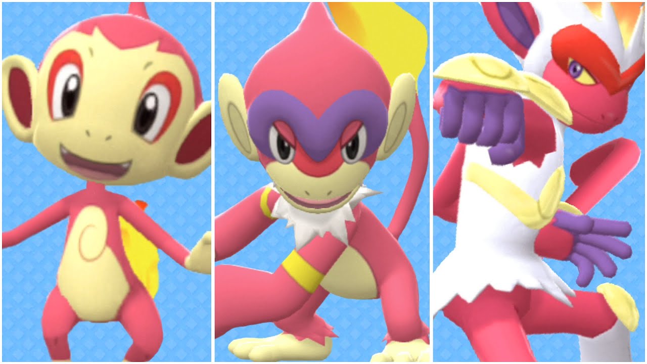 Full Chimchar Evolution Team Shiny Chimchar Shiny Monferno Shiny