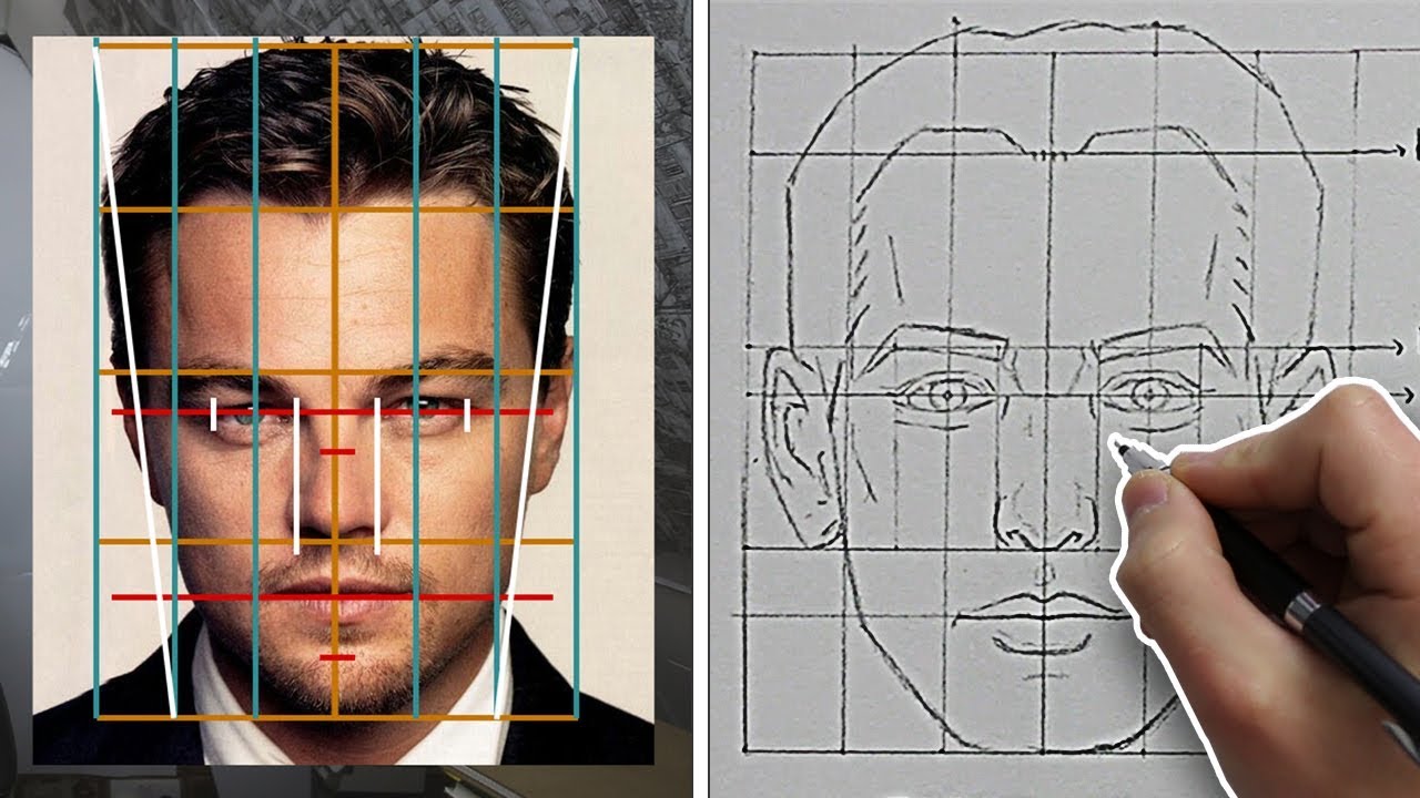 Supreme Info About How To Draw A Face In Proportion Foodactive