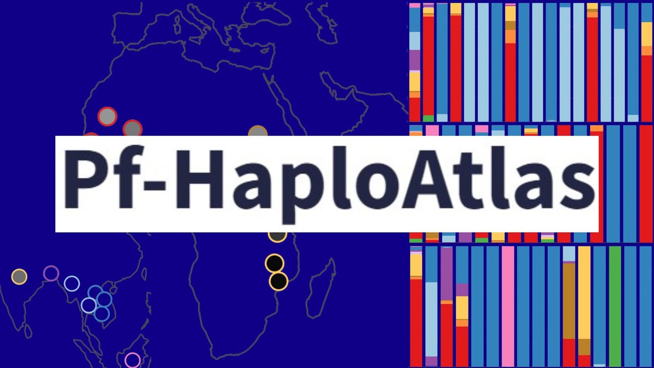 Pf Haploatlas Demo Learn To Analyse Malaria Parasite Genomes Youtube