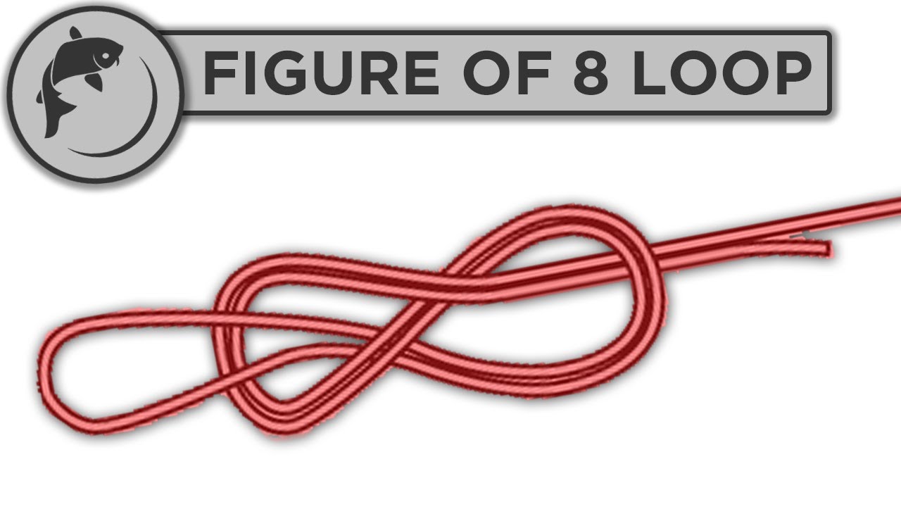 How To Tie A Figure Of Eight 8 Loop Knot Youtube