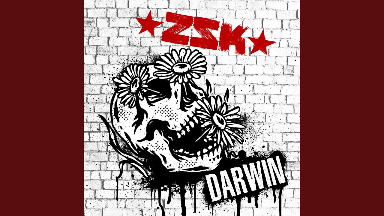 Darwin Youtube Music