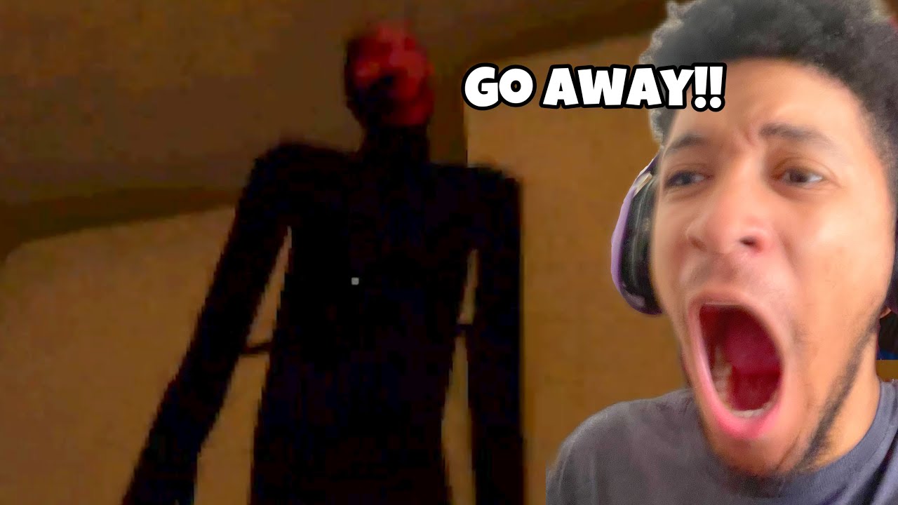 Im Never House Sitting Again Youtube