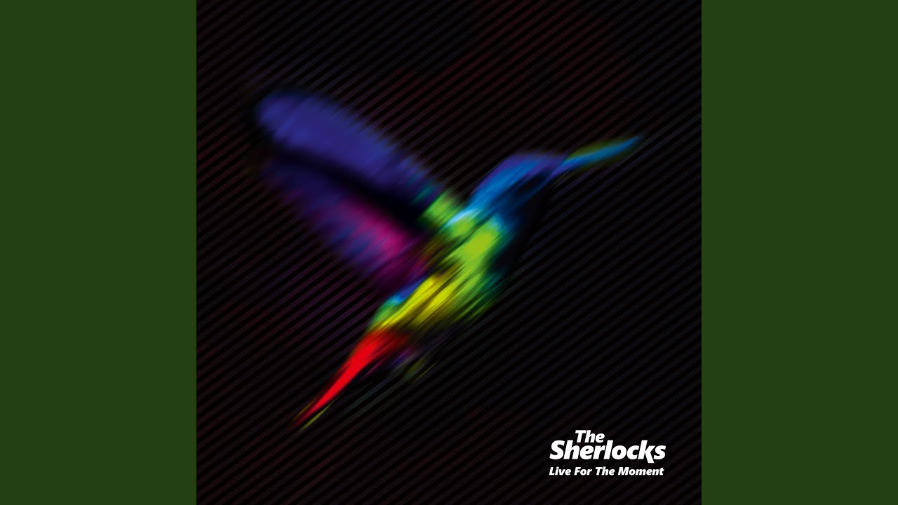 Chasing Shadows Youtube