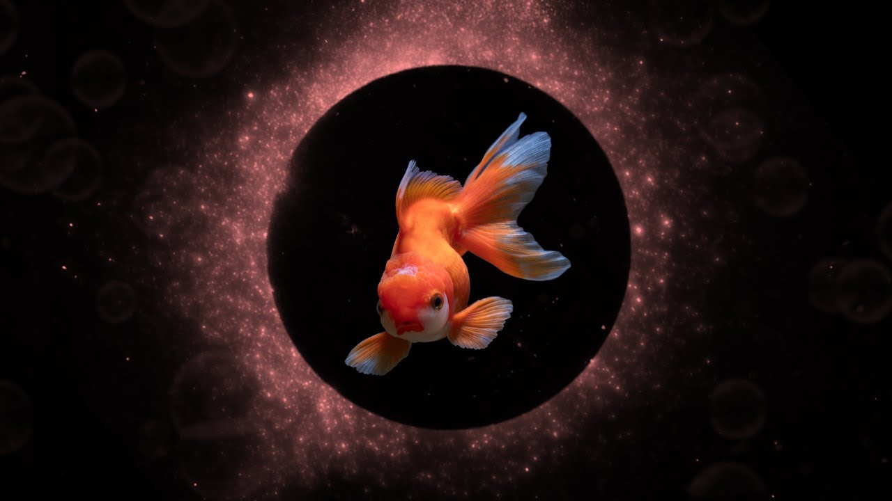 Premiere Conf42 Incident Management 2022 Youtube