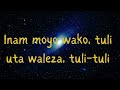 Namadingo Tuli Lyric Video Malawian Lyrics Wave Mp3 Music & Mp4 video ...