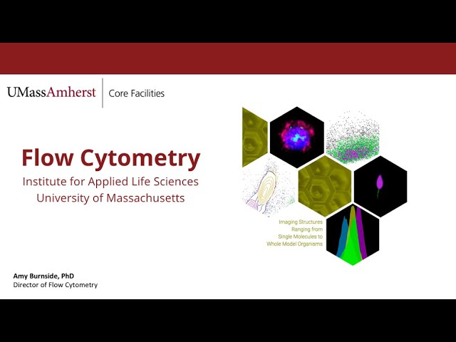 Flow Cytometry Seminar Series Institute For Applied Life Sciences