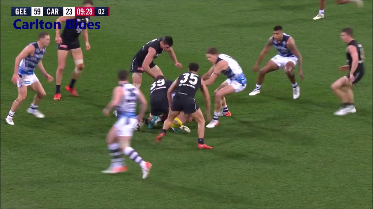 Dale Daisy Thomas Final Afl Game Highlights Round 23 2019