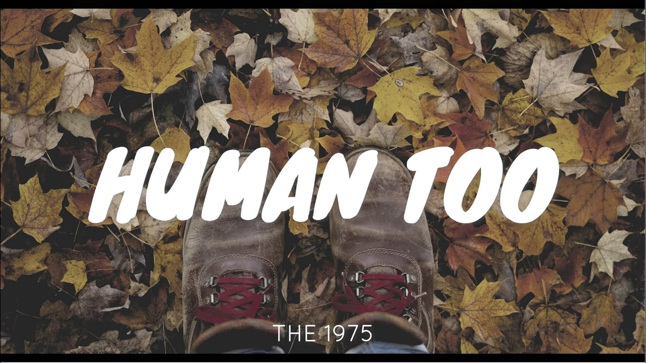 Human Too The 1975 Lyrics Youtube