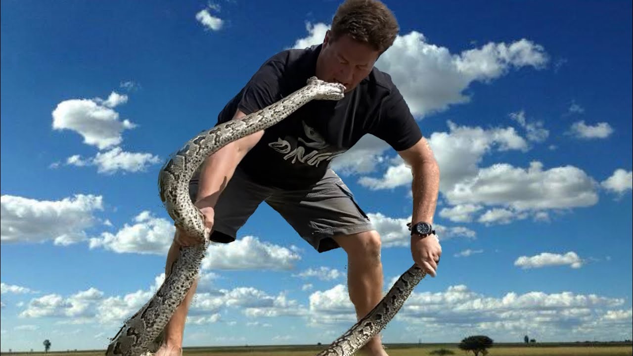 Python Bite Youtube