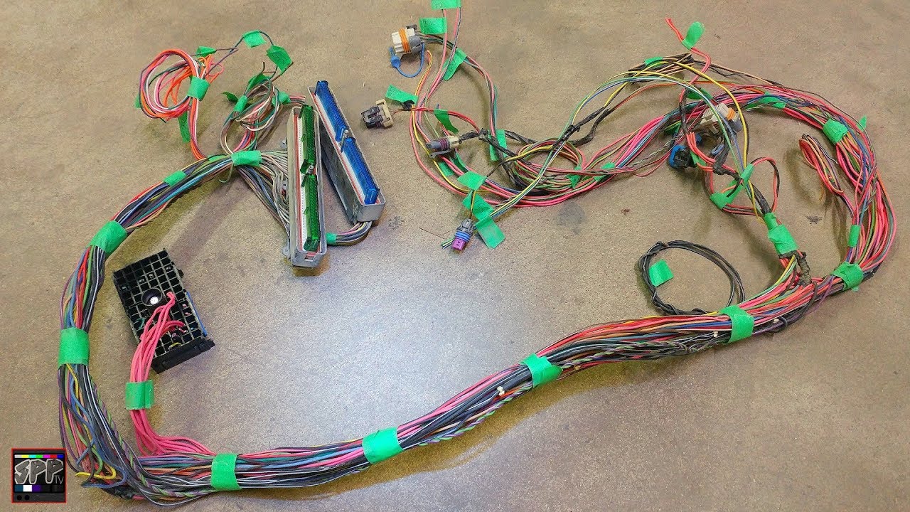 Ls Standalone Harness 101 Beginners Guide How To Wire A Ls Swap