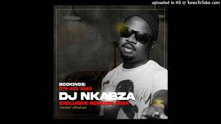 Iplan Dj Nkabza Remix Dlala Thukzin Ft Zaba Sykes Dj Nkabza Mp3 Music ...