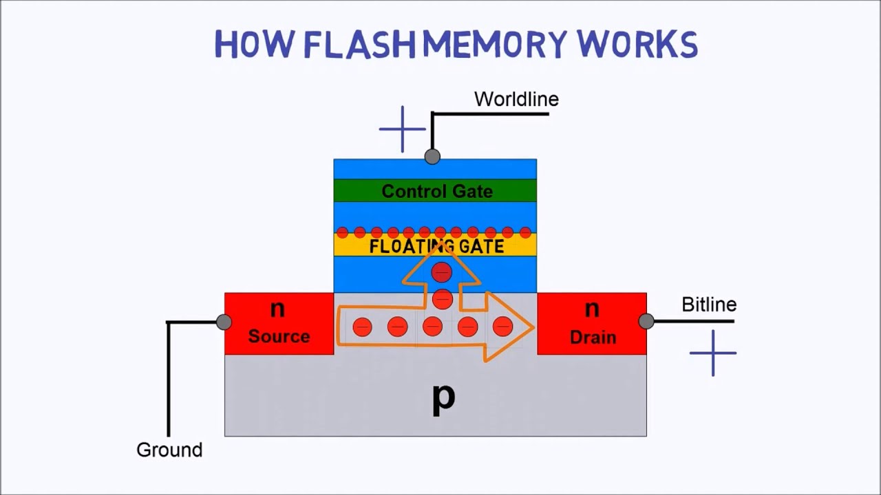 Weight Of Data Stored In Flash Drives Youtube