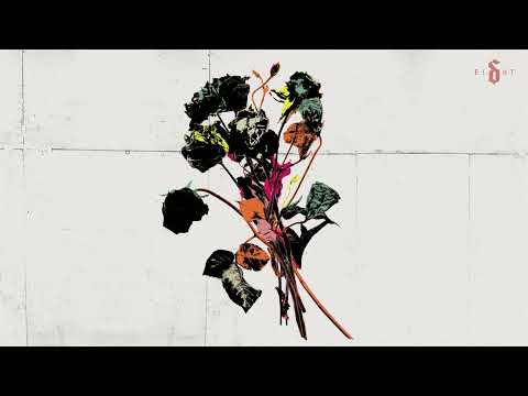 Shinedown – Wide Open Versuri | Versuri.org