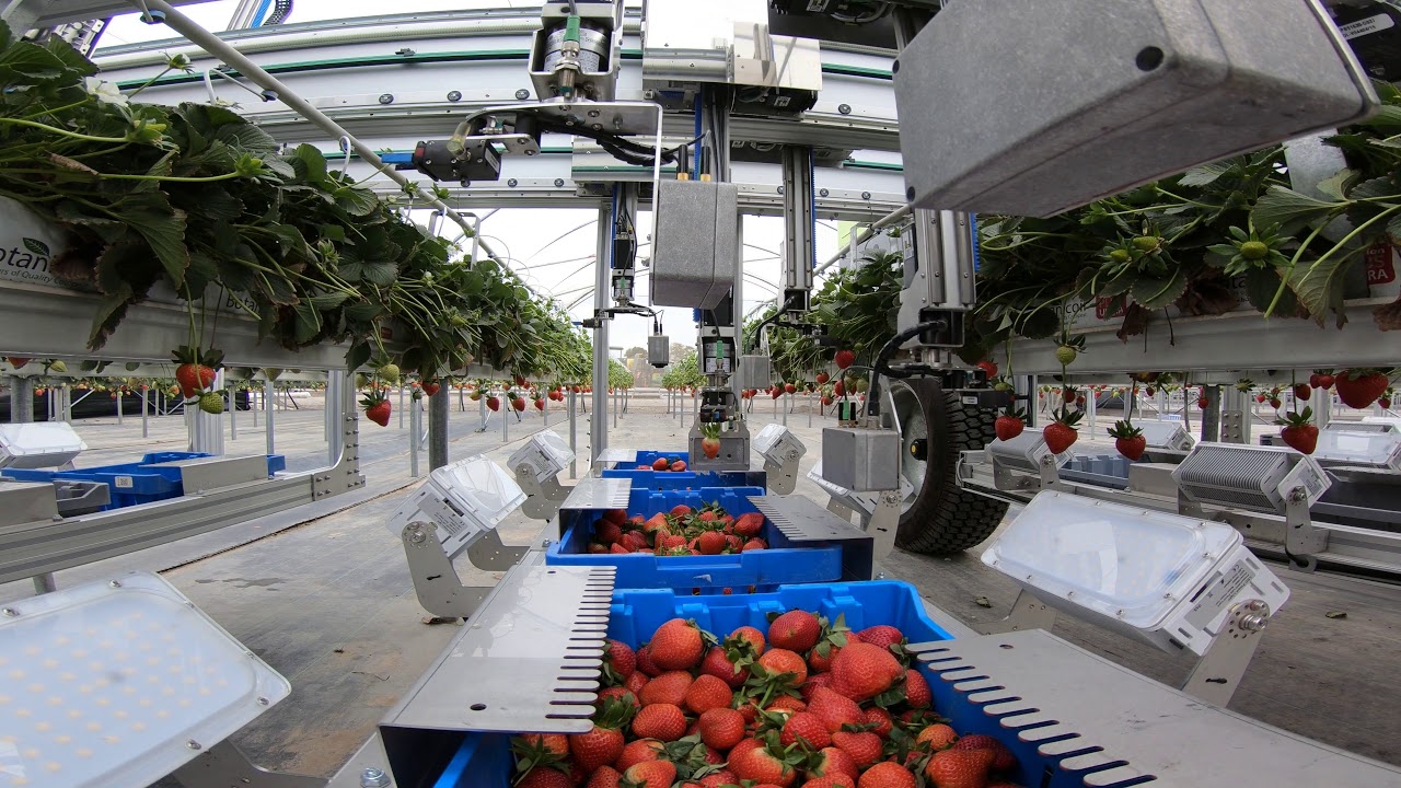 Agrobot E Series Harvesting Youtube