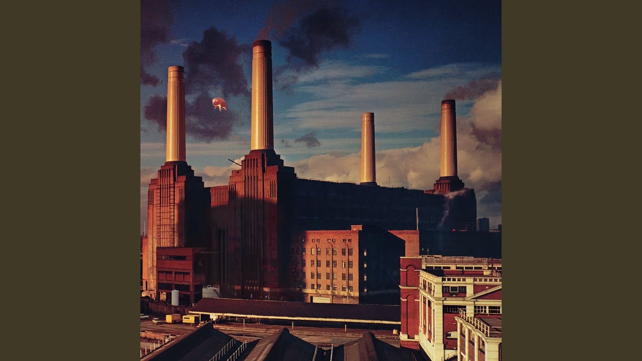 Dogs Pink Floyd Song Lyrics Music Videos Concerts