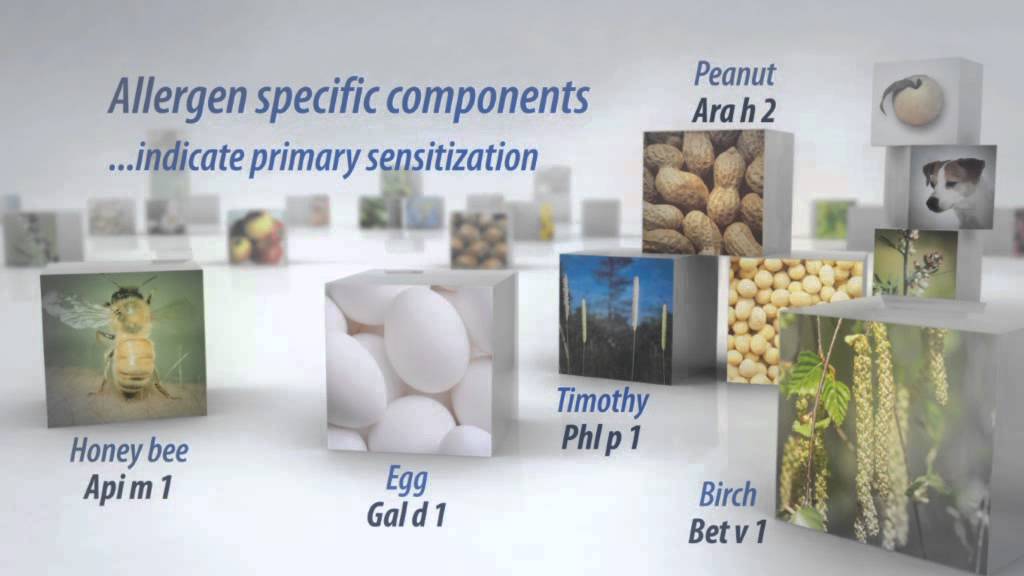 Molecular Allergology Explained Youtube