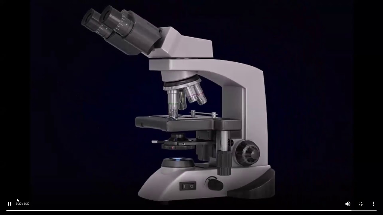 Microscopy Virtual Lab Youtube