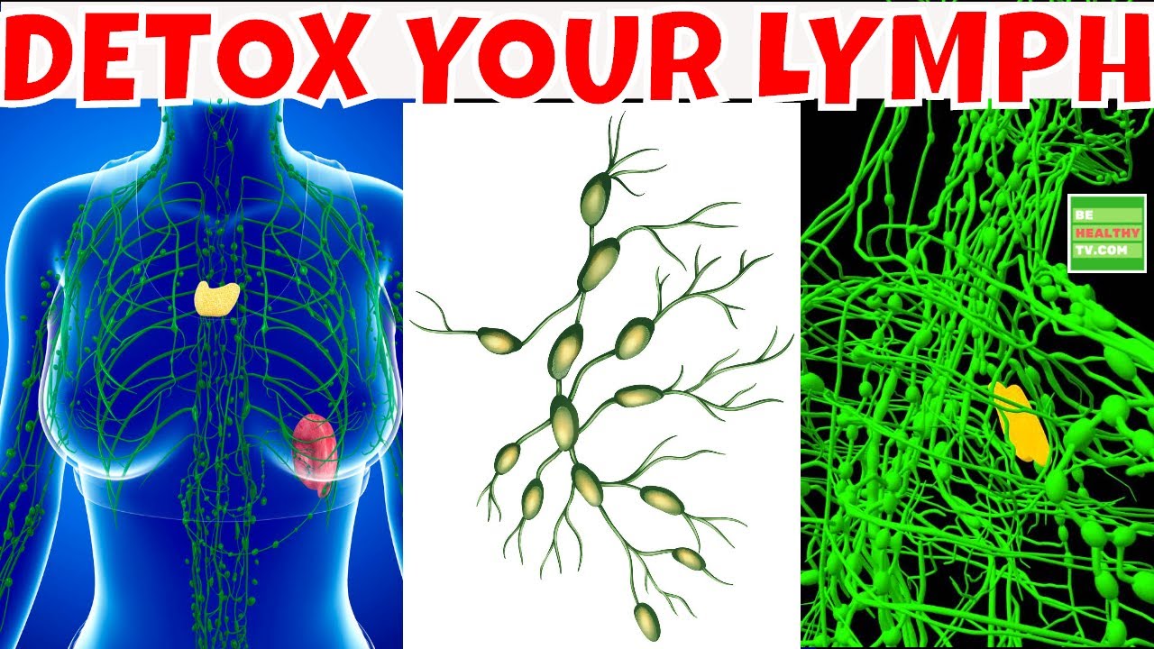 How To Detoxify Your Lymphatic System Clean Your Body S Drains Youtube