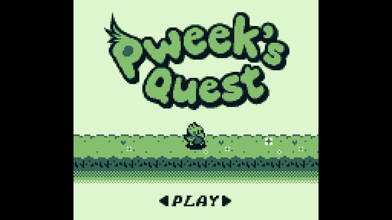 Birdgame Youtube