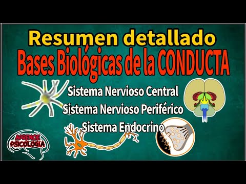 Bases Biológicas De La Conducta Humana Ineurociencias