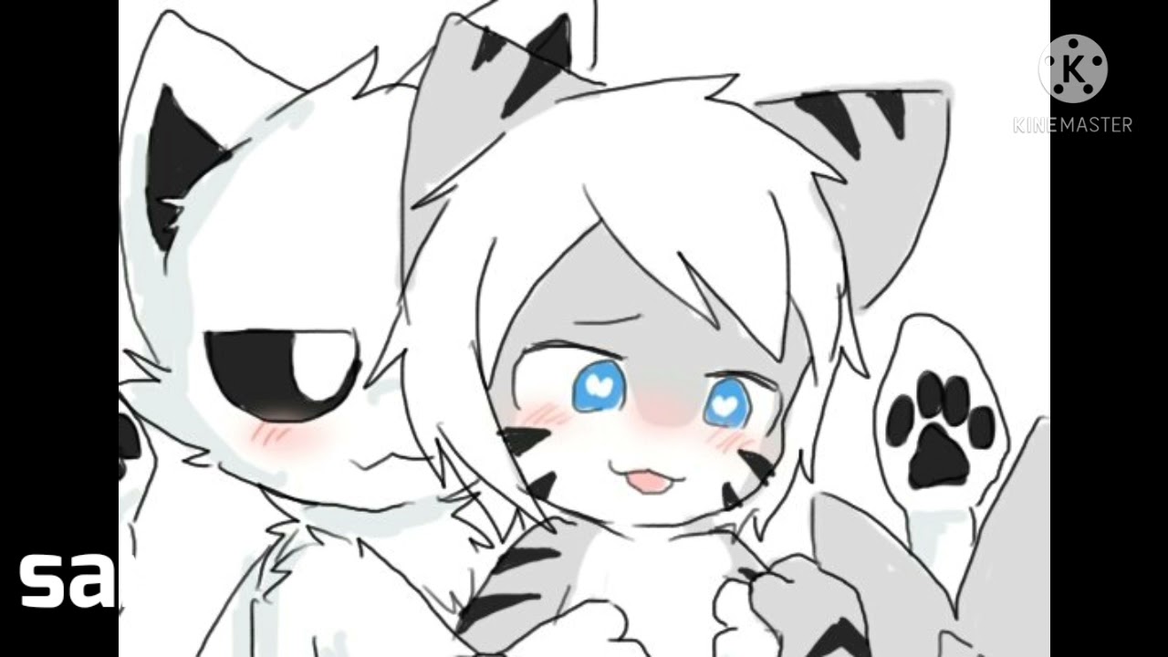 Changed Tigershark 1 Youtube