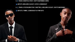 Scott Maphuma Leemckrazy Amapiano Mix Best Amapiano Mix 2024 The Gqom ...