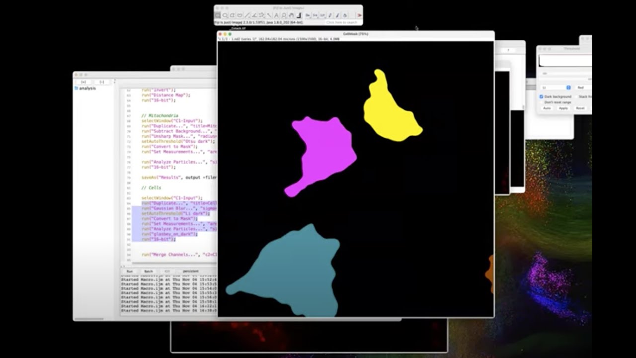 Automating Analysis With Fiji Imagej Youtube