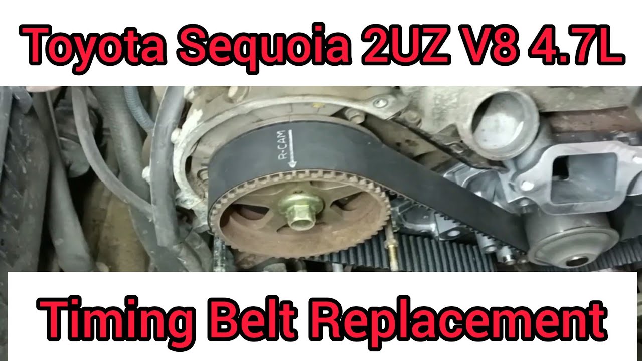 Timing Belt 2001 Toyota Sequoia At Myrtle Jackman Blog