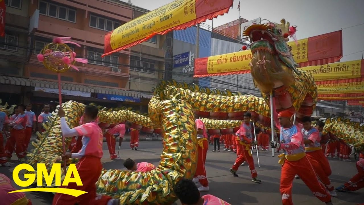 Celebrating The Year Of The Ox For Lunar New Year L Gma Youtube