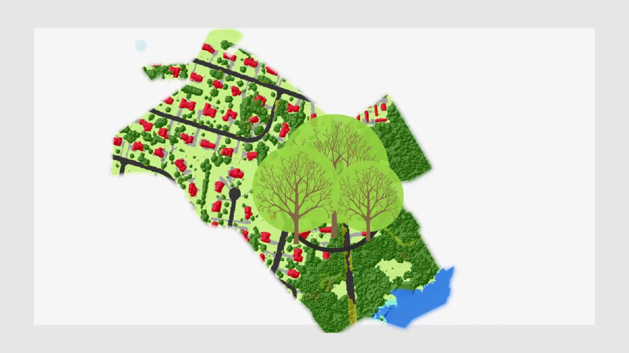 Introduction To Urban Tree Canopy Utc Assessments Youtube