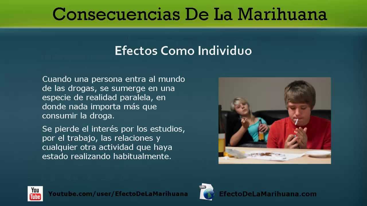 No Alas Drogas Como Afecta La Marihuana Al Cerebro