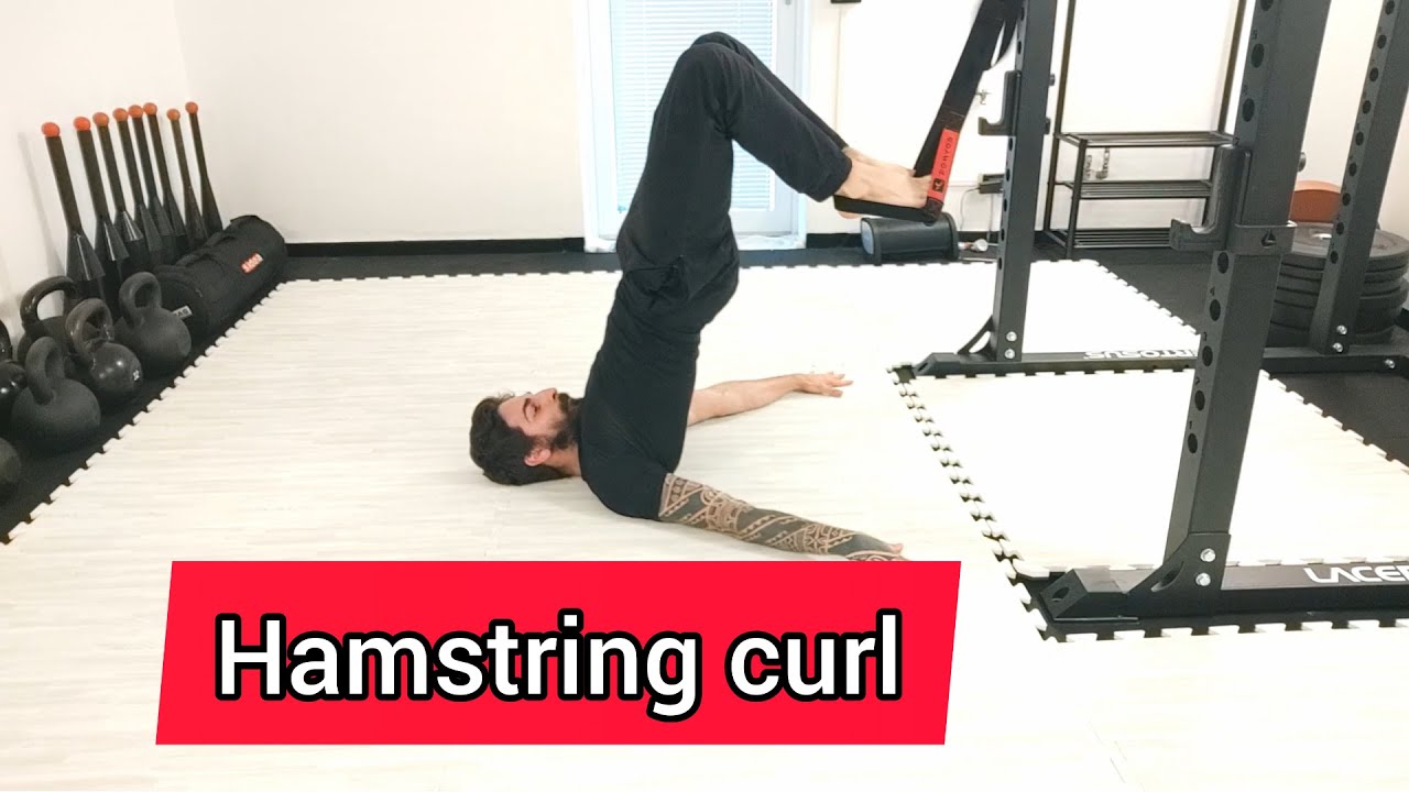 Hamstring Curl Youtube