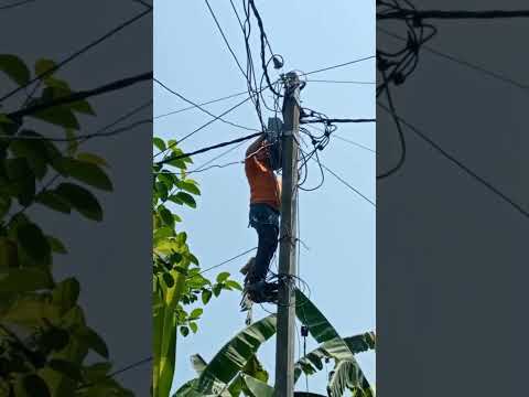 Low Tension Distribution Box Fault Detection And Rectification