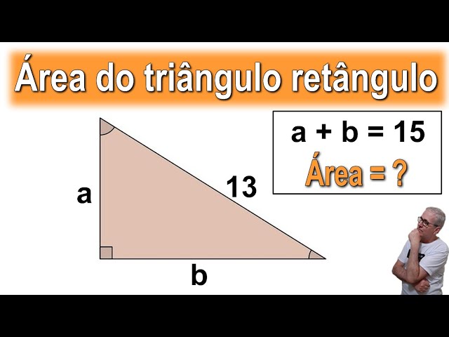 Como Calcular Area Do Triangulo Retangulo Infoupdate Org