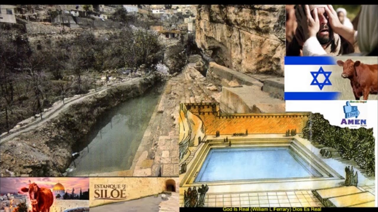 Estanque De Siloe Descubrimiento Donde Jesus Sano Al Ciego