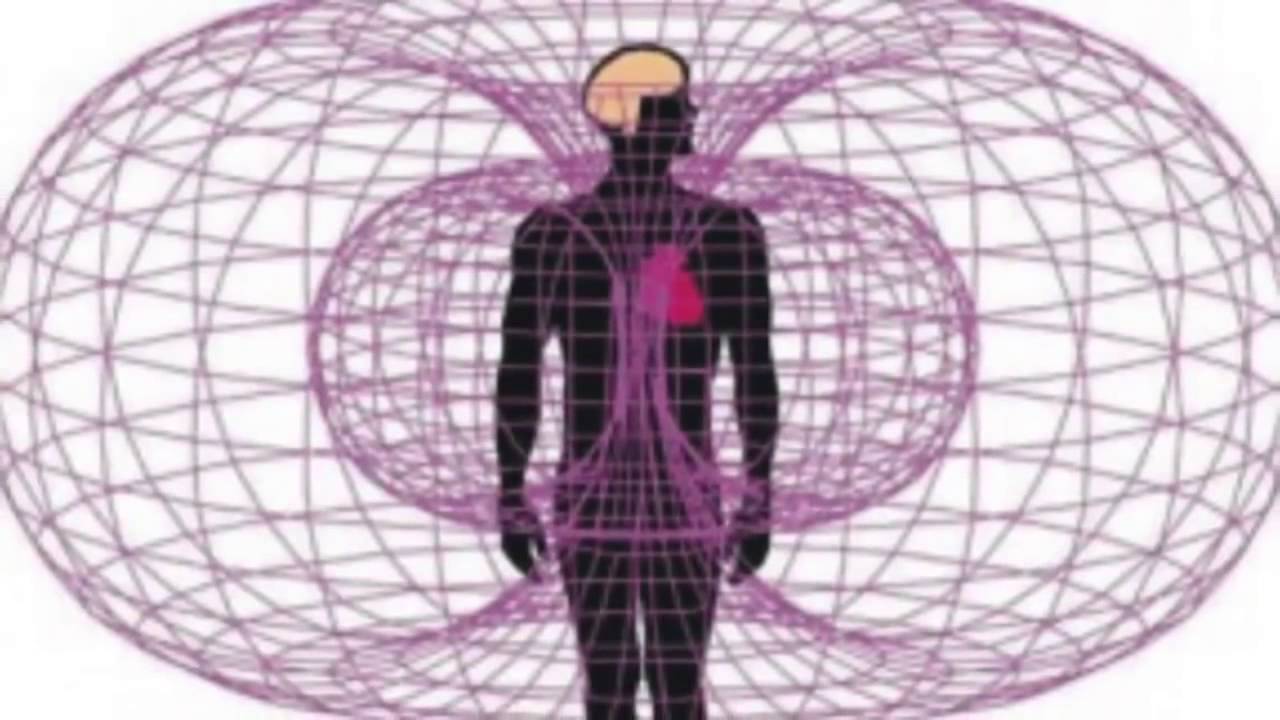 The Ancient Secret Of Flower Life Drunvalo Melchizedek Pdf Best