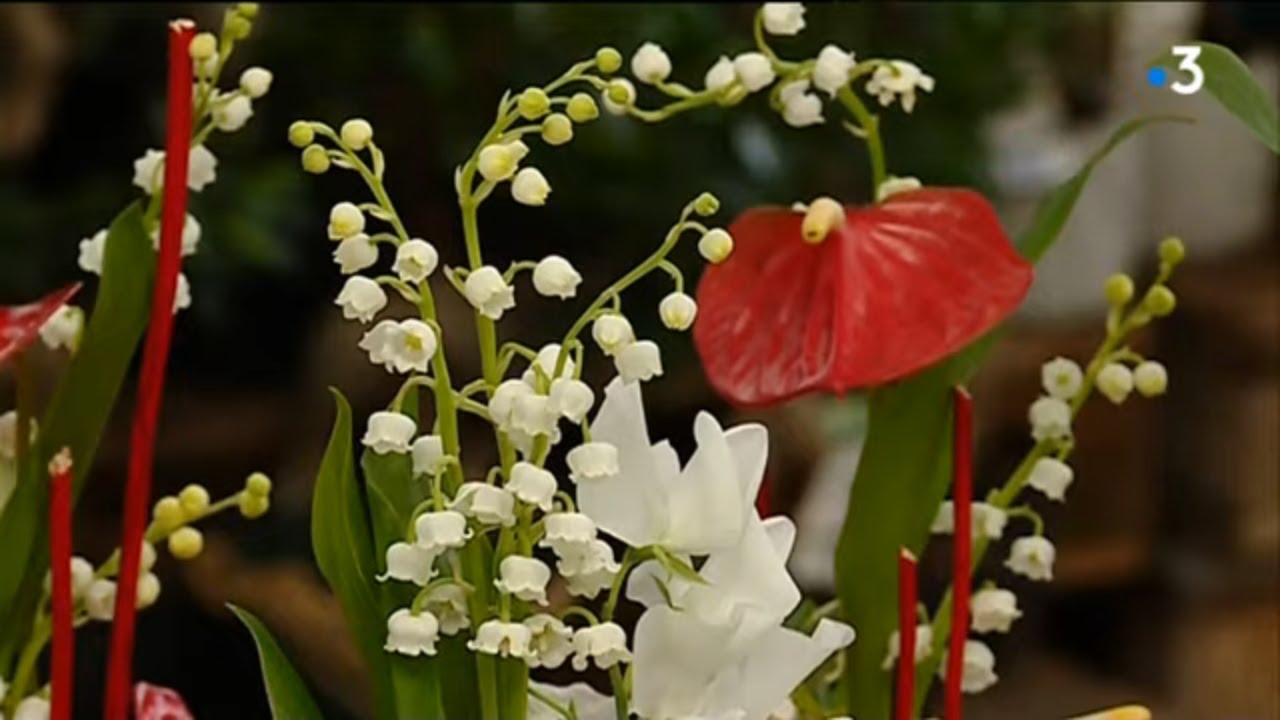 Muguet Du 1er Mai Chez Le Fleuriste Ou Dans La Rue Youtube
