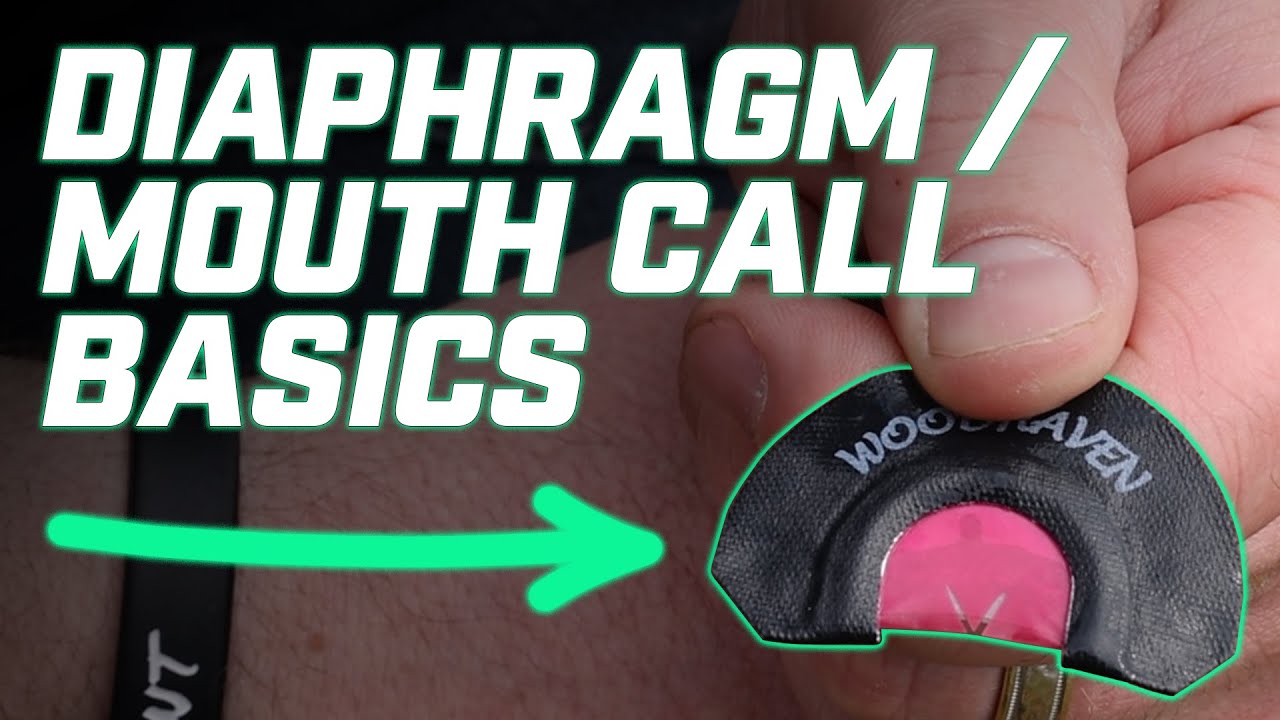 Turkey Diaphragm Call Orientation At Alexis Hoff Blog