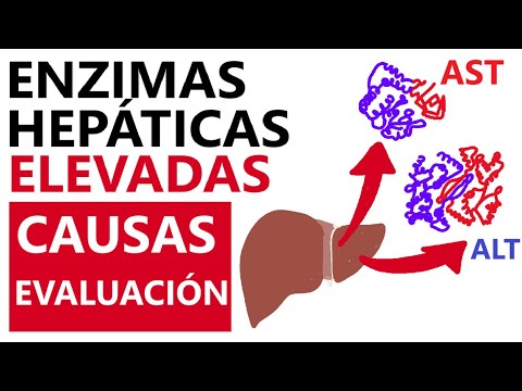Elevación De Enzimas Hepáticas Causas Y Evaluación Ast Y Alt Youtube