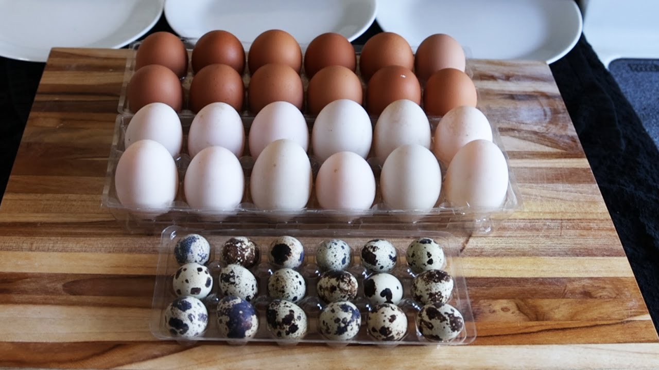 Chicken Egg Duck Egg Conversion At Jennifer Pardue Blog