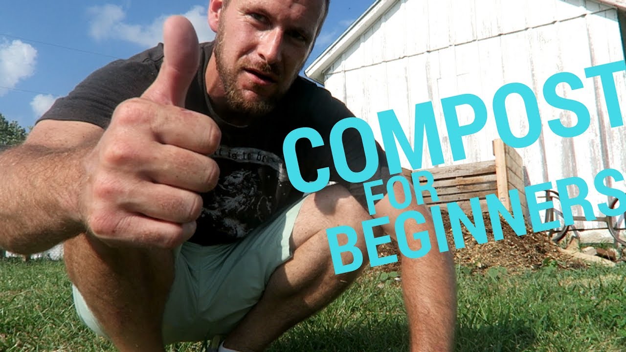 Compost For Beginners Youtube