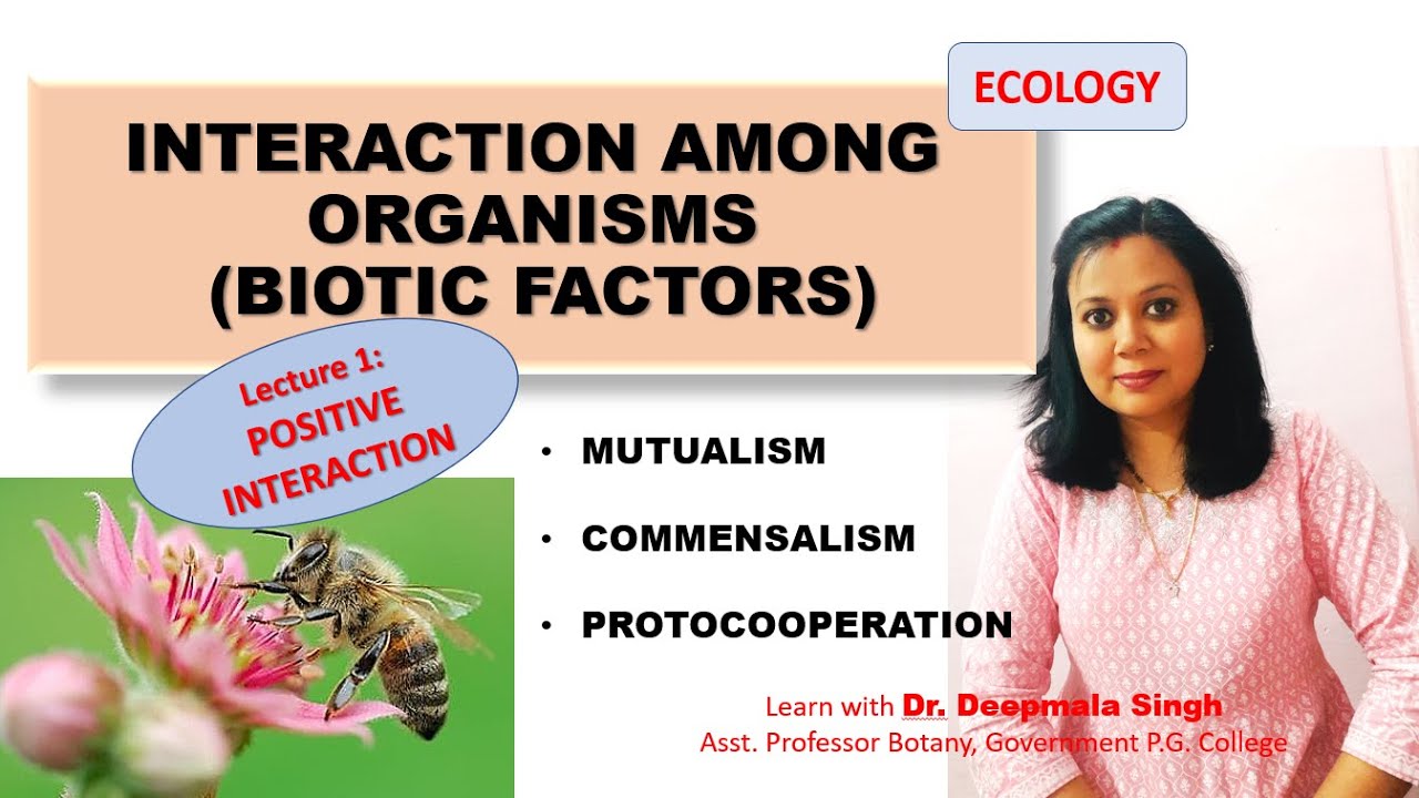 Ecological Interaction Biotic Factor Symbiosis Mutualism