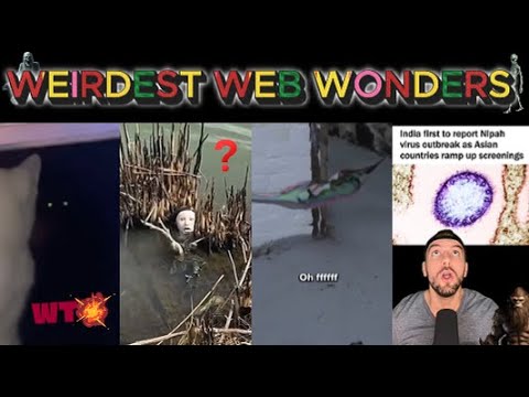 Weirdest Web Wonders Vol 42 Youtube