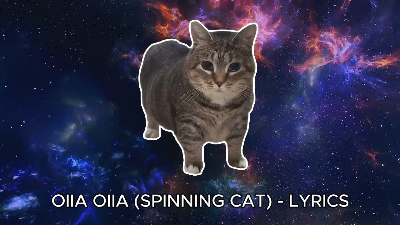 Oiia Oiia Spinning Cat Lyrics Video Youtube