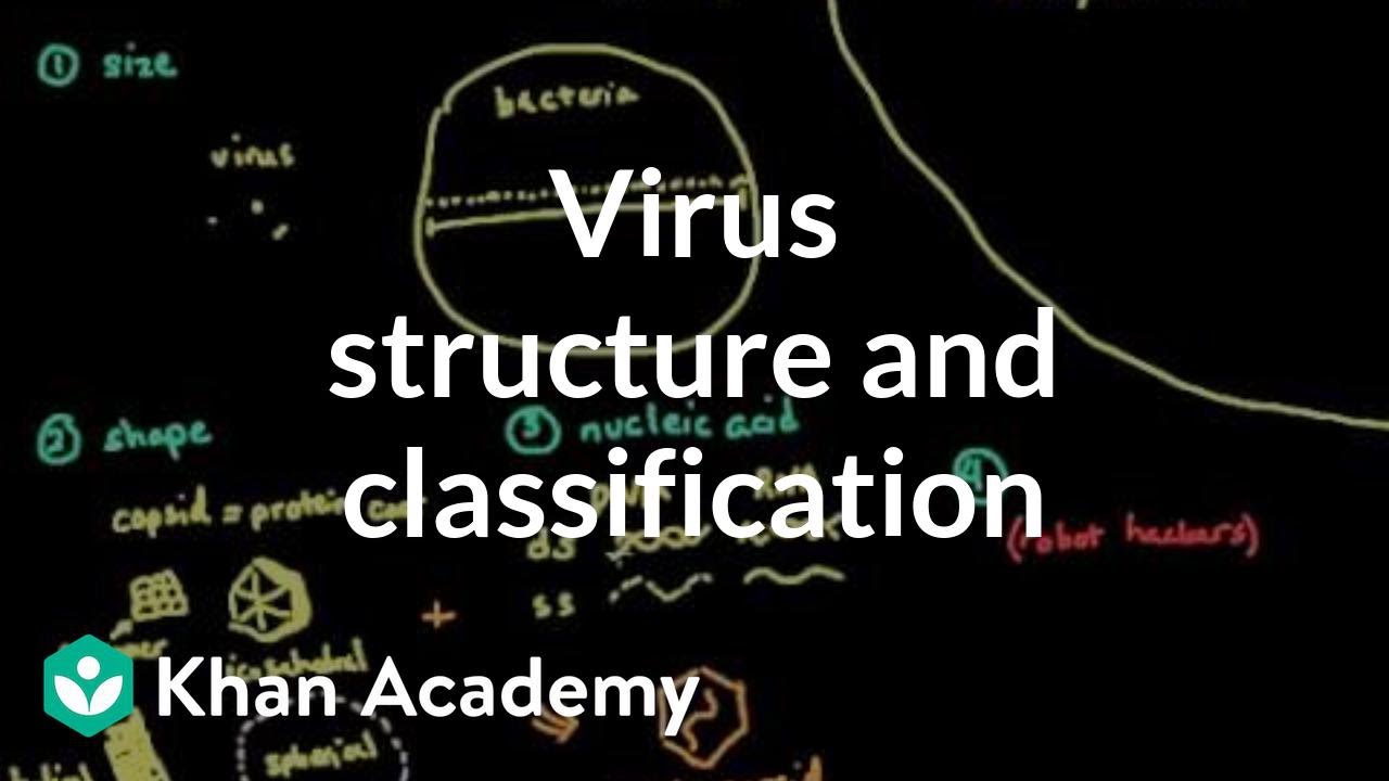Virus Structure And Classification Cells Mcat Khan Academy Youtube