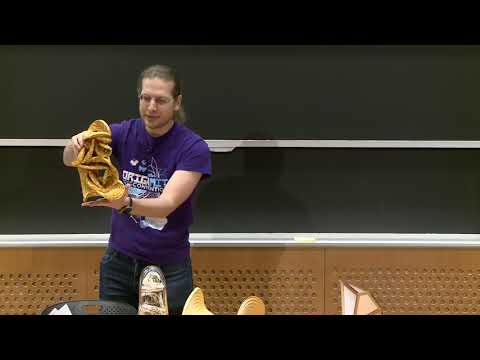 21 Algorithms Next Steps Video Summary And Q A Glasp