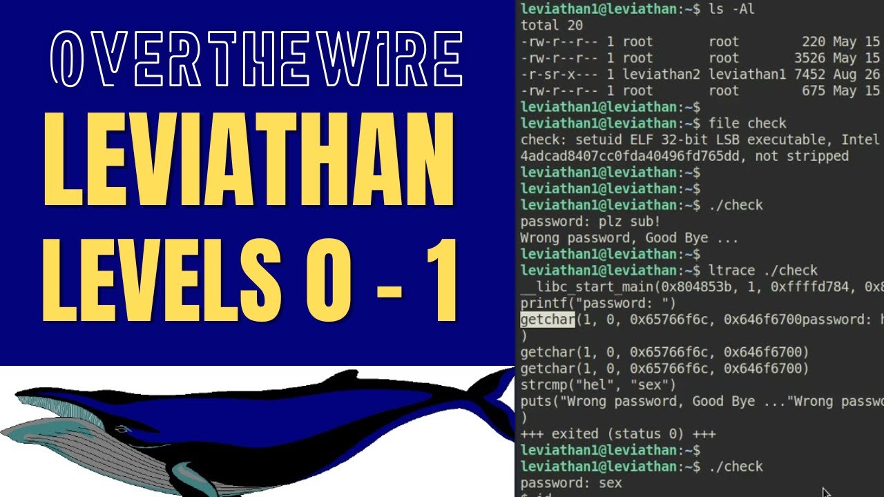 Overthewire Leviathan Walkthrough Levels 0 1 Less And Ltrace