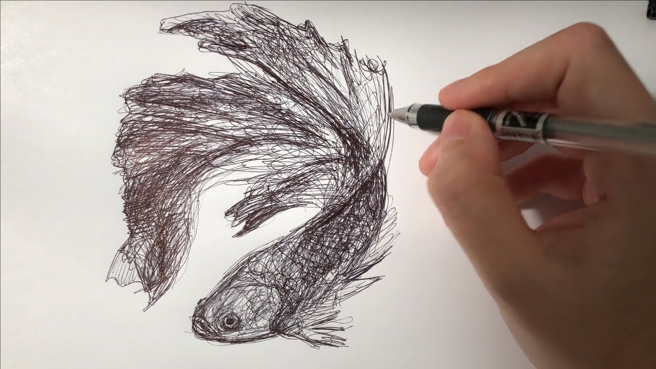 Ballpoint Pen Sketching Sea Fish Youtube