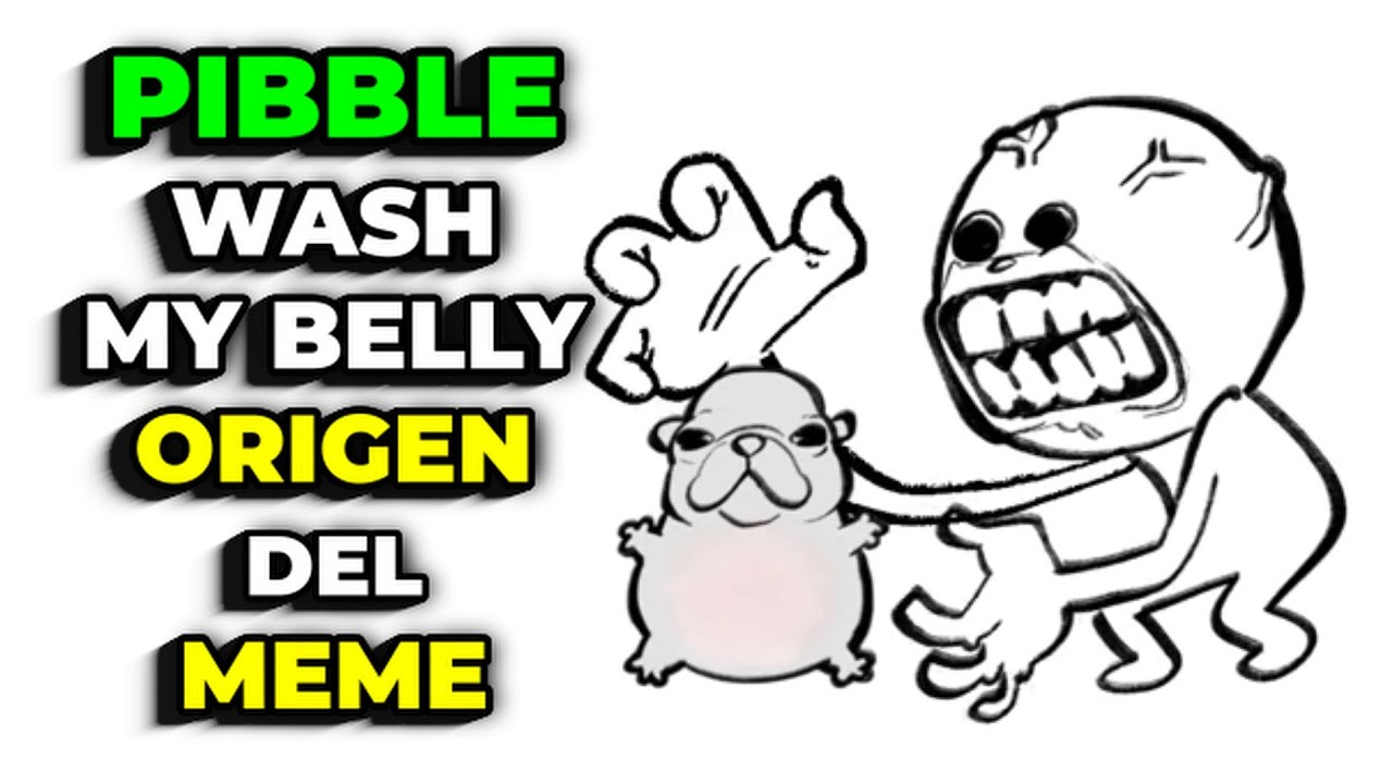 Pibble Origen Del Meme Bulldog Francés Diciendo Wash My Belly Youtube