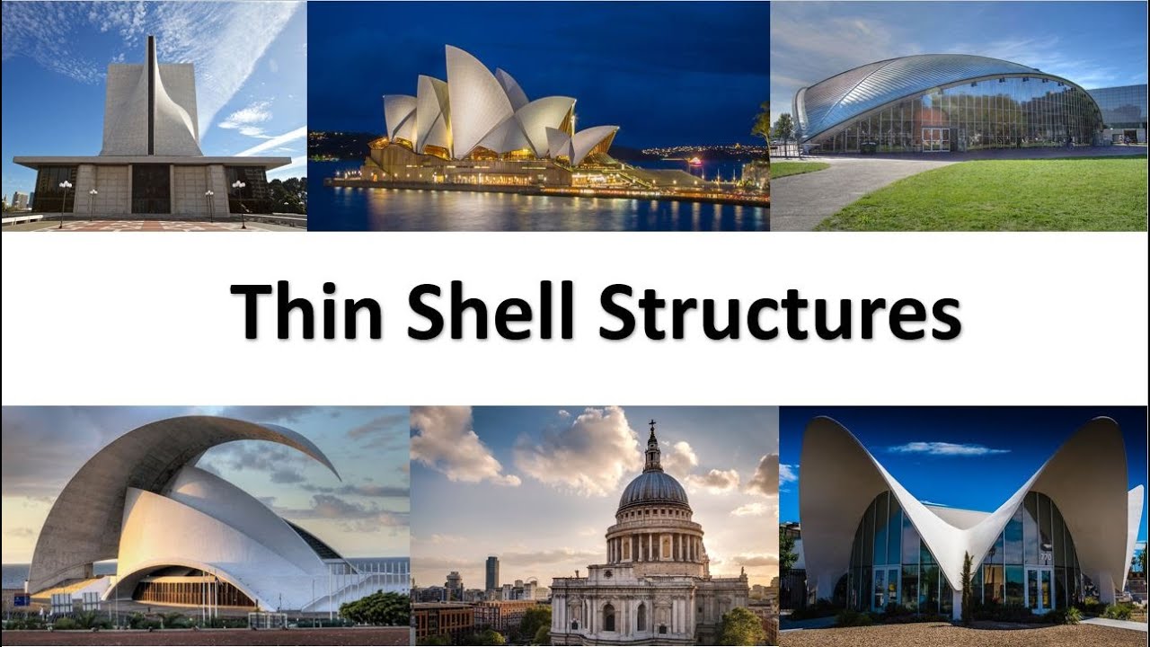 Natural Shell Structures Examples